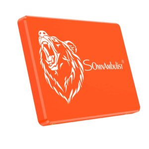 Somnambulist sata3 ssd 120gb 240gb 480gb 960gb 2.5 inch Hard Drive sata3 HDD ssd Laptop 2tb Solid State dr (Orange Bear 960GB)