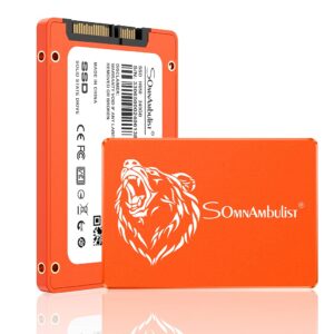 Somnambulist sata3 ssd 120gb 240gb 480gb 960gb 2.5 inch Hard Drive sata3 HDD ssd Laptop 2tb Solid State dr (Orange Bear 960GB)