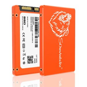 Somnambulist sata3 ssd 120gb 240gb 480gb 960gb 2.5 inch Hard Drive sata3 HDD ssd Laptop 2tb Solid State dr (Orange Bear 960GB)