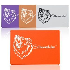 Somnambulist sata3 ssd 120gb 240gb 480gb 960gb 2.5 inch Hard Drive sata3 HDD ssd Laptop 2tb Solid State dr (Orange Bear 960GB)