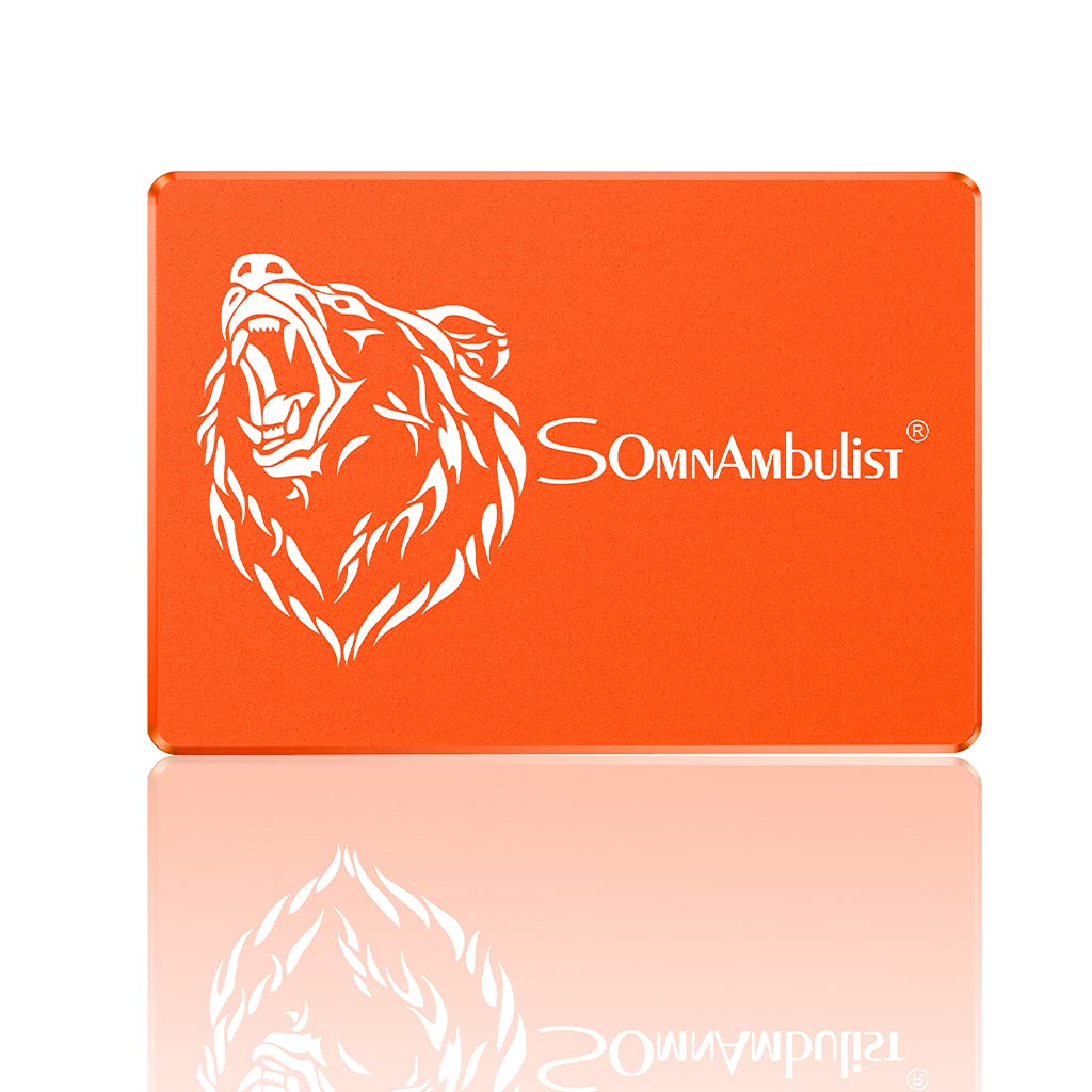 Somnambulist sata3 ssd 120gb 240gb 480gb 960gb 2.5 inch Hard Drive sata3 HDD ssd Laptop 2tb Solid State dr (Orange Bear 960GB)