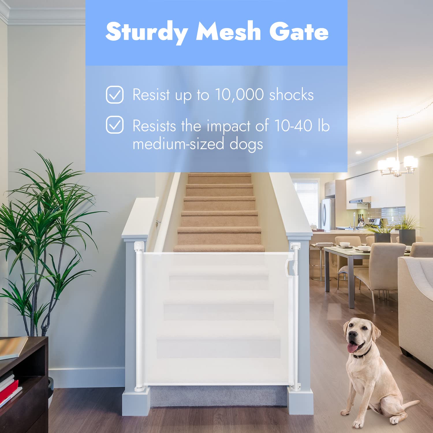 Papablic Retractable Baby Gate, Auto Lock Safety Gate for Baby and Pet, 34" Tall, Extends to 71" Wide, Extra Wide Dog Gate for Indoor Outdoor Stairs Doorways Hallways