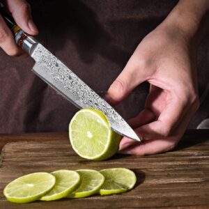 Chef's knives Damascus Steel Chef Knife Cuchillos de Chef Professional