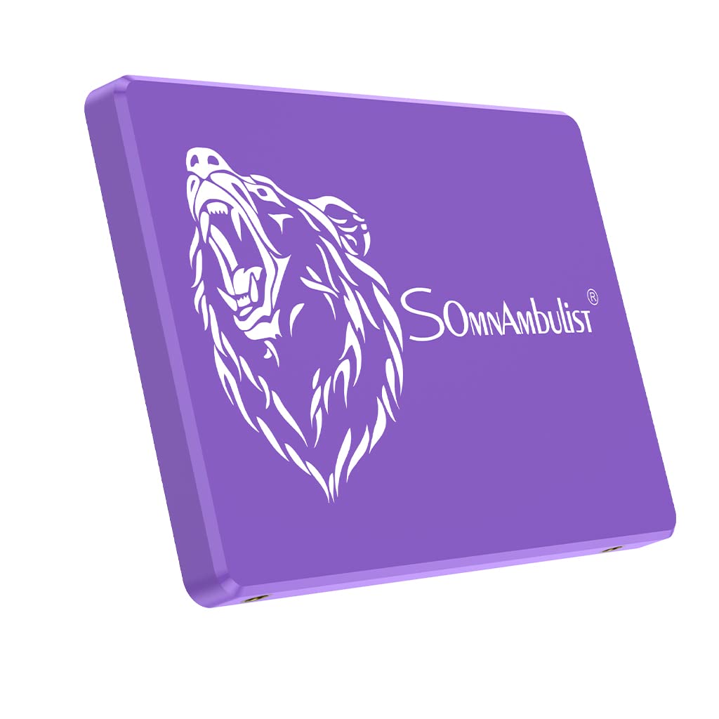 Somnambulist SSD SATAIII Hard Drive 2.5 SSD 120GB 480GB 512GB Hard Drive Internal Solid State Drive (Purple Bear Head 60GB)