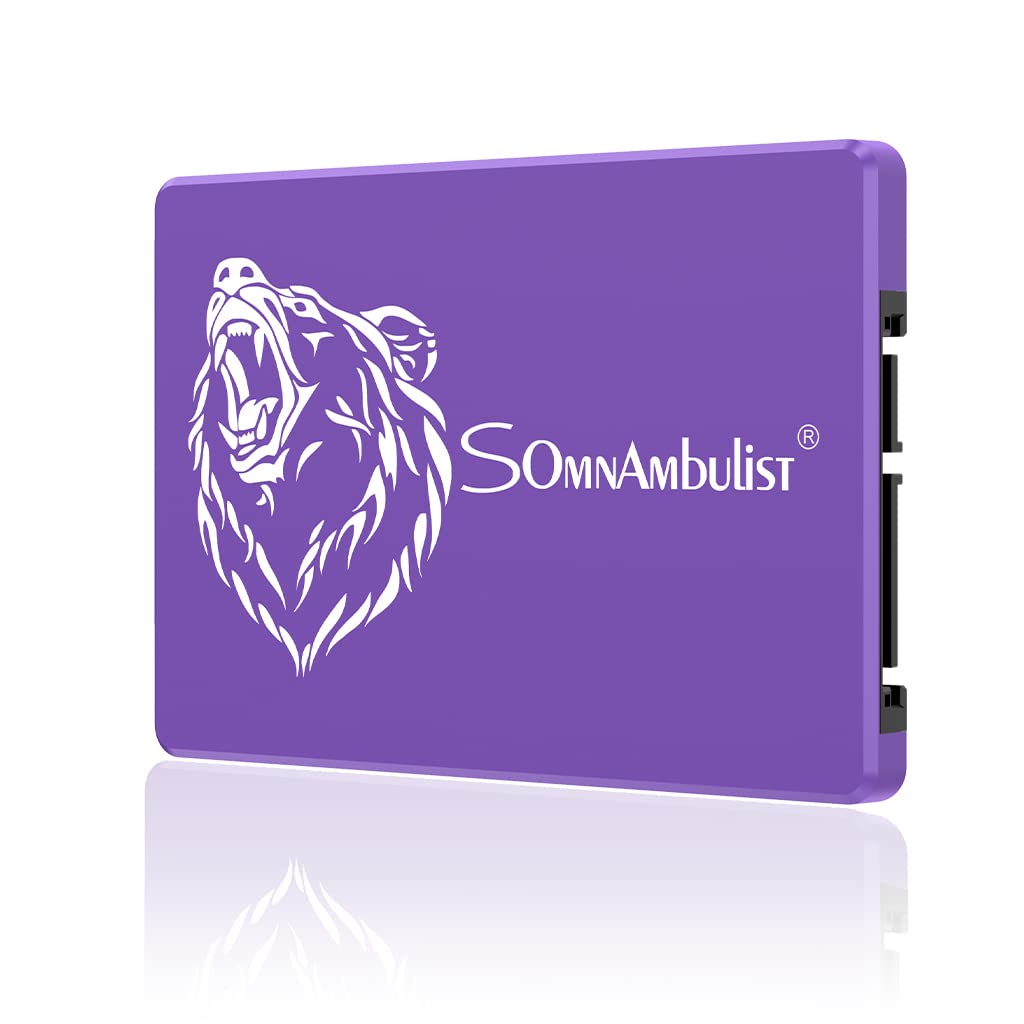 Somnambulist SSD SATAIII Hard Drive 2.5 SSD 120GB 480GB 512GB Hard Drive Internal Solid State Drive (Purple Bear Head 60GB)