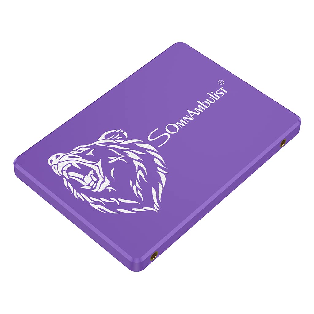 Somnambulist SSD SATAIII Hard Drive 2.5 SSD 120GB 480GB 512GB Hard Drive Internal Solid State Drive (Purple Bear Head 60GB)