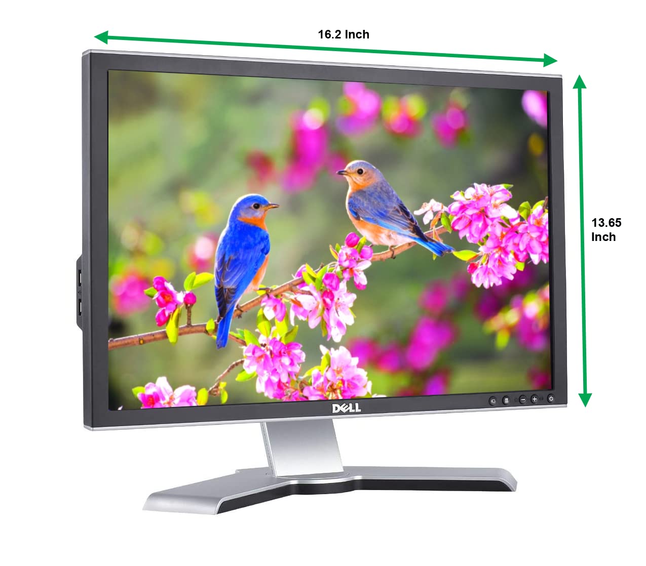 Dell 1907FPT LED Backlit |1280 x 1024 | 19 Inch Monitor, VGA and DVI Ports, 16.7 Million Colors, Horizontal and Vertical Viewing 130/140, Response Time 8ms (Renewed)