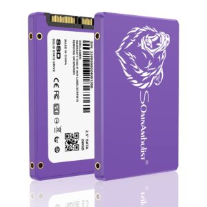 Somnambulist SSD SATAIII Hard Drive 2.5 SSD 120GB 480GB 512GB Hard Drive Internal Solid State Drive (Purple Bear Head 60GB)