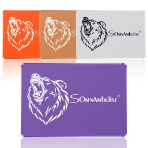 Somnambulist SSD SATAIII Hard Drive 2.5 SSD 120GB 480GB 512GB Hard Drive Internal Solid State Drive (Purple Bear Head 240GB)