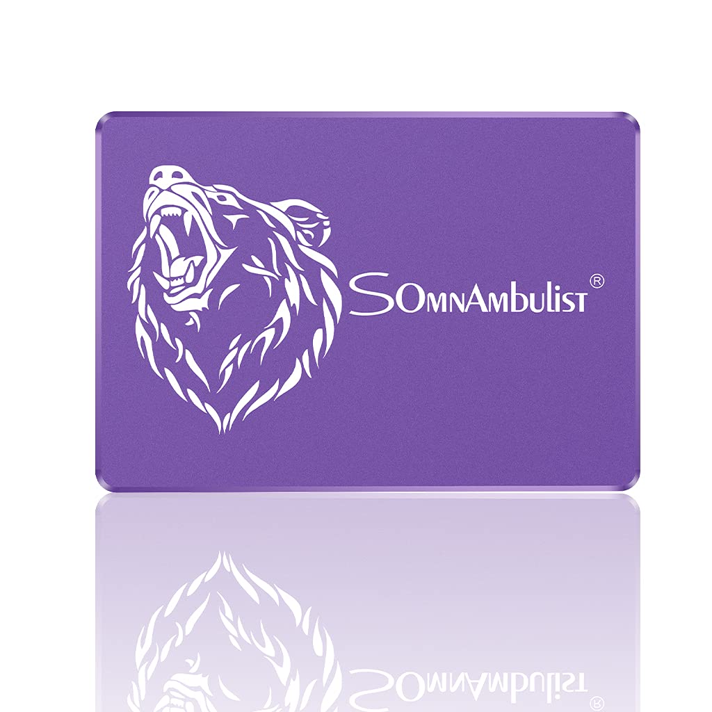 Somnambulist SSD SATAIII Hard Drive 2.5 SSD 120GB 480GB 512GB Hard Drive Internal Solid State Drive (Purple Bear Head 60GB)