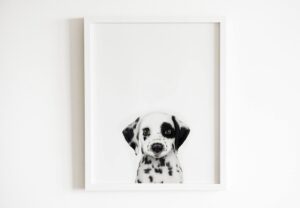 little dalmatian nursery wall decor, safari nursery decor, nursery wall art, baby nursery decor, baby room decor, baby wall decor, safari décor frame & mount not included 5x7 in