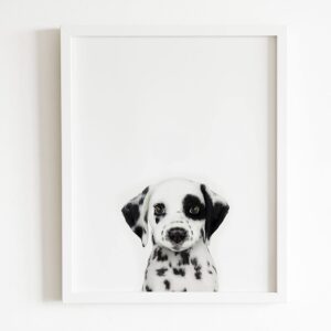 Little Dalmatian Nursery Wall Decor, Safari Nursery Decor, Nursery Wall Art, Baby Nursery Decor, Baby Room Decor, Baby Wall Decor, Safari Décor Frame & Mount Not Included 5x7 in