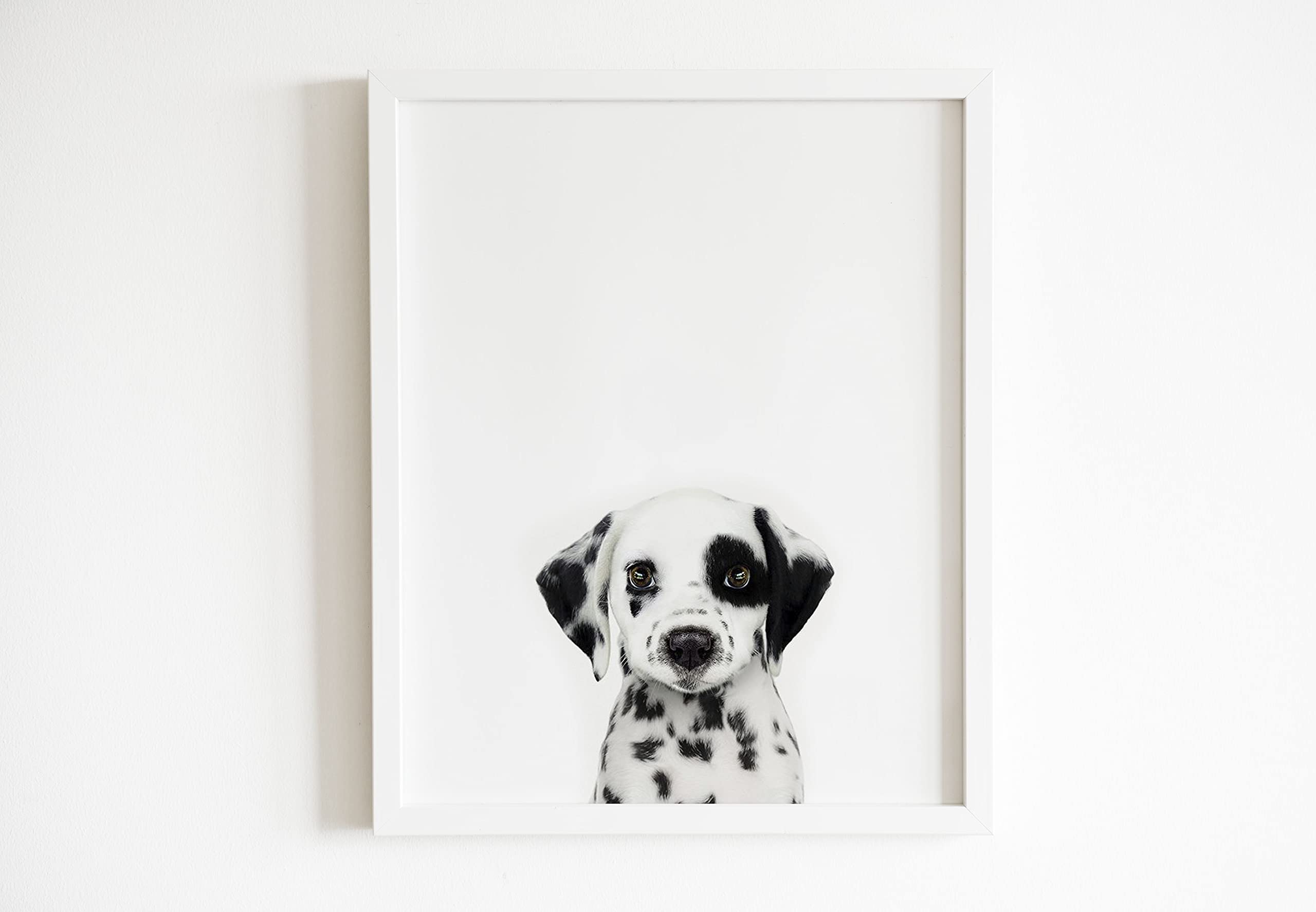 Little Dalmatian Nursery Wall Decor, Safari Nursery Decor, Nursery Wall Art, Baby Nursery Decor, Baby Room Decor, Baby Wall Decor, Safari Décor Frame & Mount Not Included 5x7 in