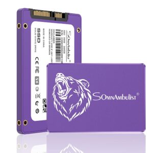 Somnambulist SSD SATAIII Hard Drive 2.5 SSD 120GB 480GB 512GB Hard Drive Internal Solid State Drive (Purple Bear Head 60GB)