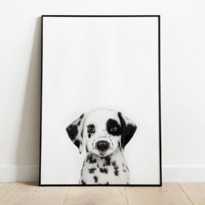 Little Dalmatian Nursery Wall Decor, Safari Nursery Decor, Nursery Wall Art, Baby Nursery Decor, Baby Room Decor, Baby Wall Decor, Safari Décor Frame & Mount Not Included 5x7 in