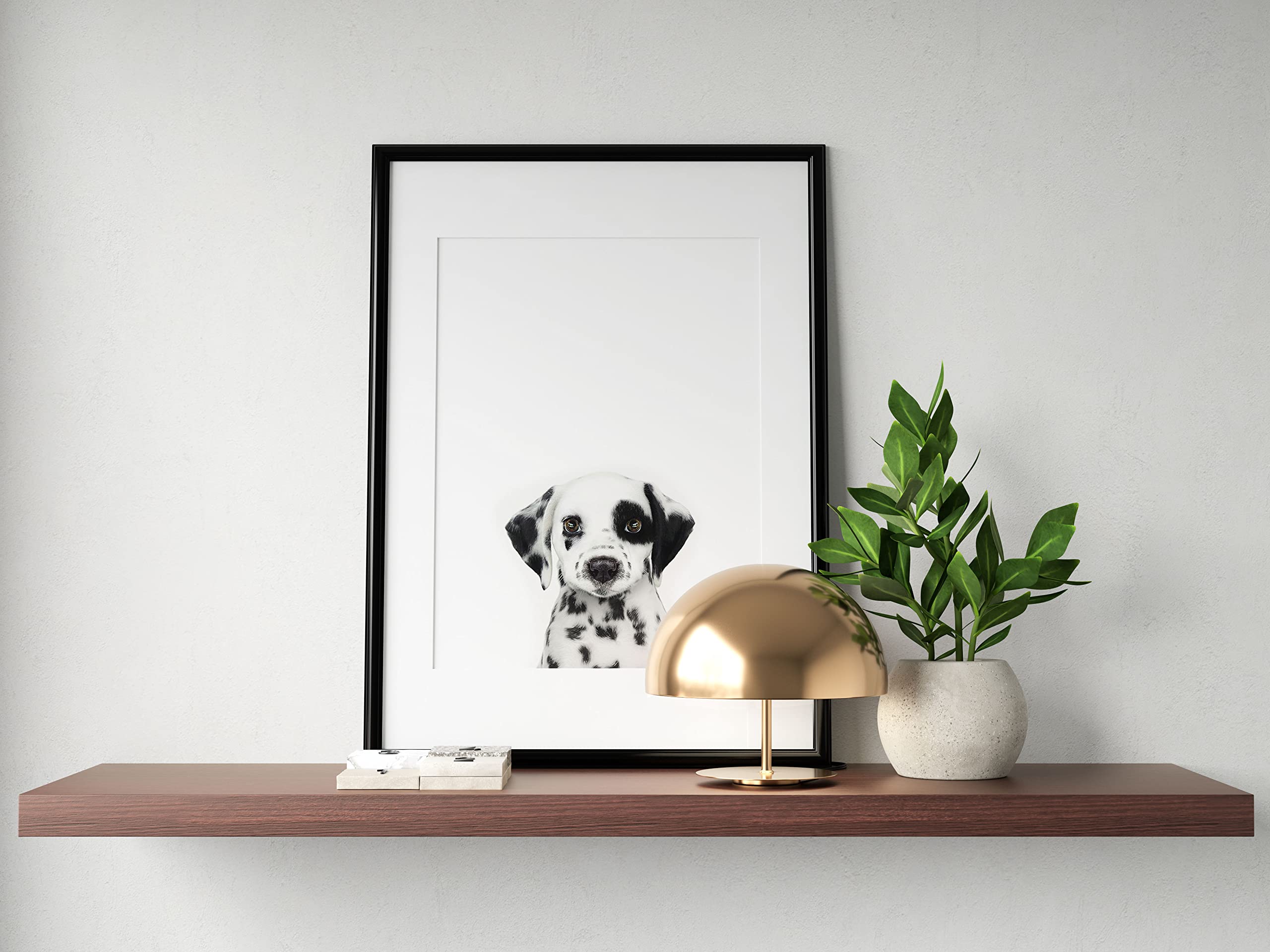 Little Dalmatian Nursery Wall Decor, Safari Nursery Decor, Nursery Wall Art, Baby Nursery Decor, Baby Room Decor, Baby Wall Decor, Safari Décor Frame & Mount Not Included 5x7 in