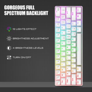 RedThunder 60% Wireless Mechanical Keyboard, 1850mAh Rechargeable Battery Wireless Gaming Keyboard, True RGB Backlit, 61 Keys Compact Layout for PC Gamer (White, Blue Switch)