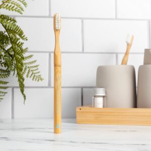 Better & Better Natural Bamboo Toothbrush and Extra Replaceable Brush Head | Soft Bristles | 100% Plant-Based | Eco-Friendly, Zero Plastic | Adult Size, Blue Toothbrush