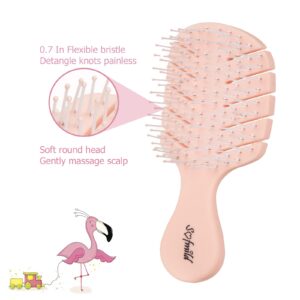 Sofmild Mini Travel Vent Cute Hair Brush,Fast Dry Shower Detangler Brush,Glide Through Tangles With Ease For Women Girl Kids Curly Hair