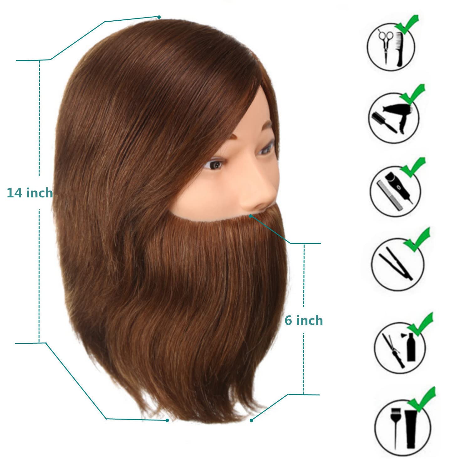 Romance Queen Male Mannequin Head With Hair Human Hair Manikin For Men Cosmetology 8inch Straight Beard Manikin Head With Human Hair with Stand Practice Cutting Styling (8inch)