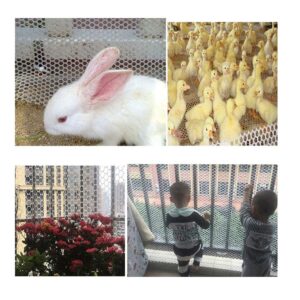 Chicken Wire Mesh Plastic Fence Net Breeding Netting Child Safety Net Lawn Protection Nets Non-slip Net Ventilation Net Flowerpot Mat Net White Mesh 0.8mm/1.2mm ( Color : Mesh1.2mm , Size : 110m )