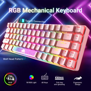 60% Ture Mechanical Gaming Keyboard and Mouse Combo Samll Mini RGB Chroma 68Key Keyboard, Detachable USB Type-C Cable，Lightweight 6400DPI Honeycomb Mouse Compatible with PS4,Xbox,PC,Laptop,MAC