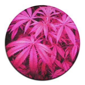 soft round area rug play mat circle floor mat carpet mat for bedroom living room nursery decor, 3ft diameter, pink weed leaf