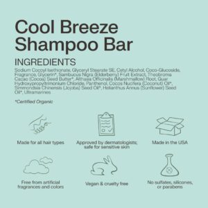 The Earthling Co. Shampoo Bar - Promote Hair Growth, Strengthen & Volumize All Hair Types - Paraben & Sulfate Free formula with Natural, Vegan Ingredients for Dry Hair (Cool Breeze, 3 oz)