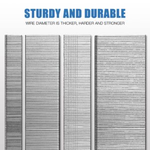 SITLDY 18 Gauge 1000-Count, Narrow Crown Staples 1/2"-200, 1"-400, 1-1/2"-200 and Brad Nails 3/4"-200, Galvanized, Assorted Size Project Pack