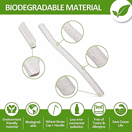 OmegaShalom 6 PCS Set of 2 Zero Waste Wheat Straw Eyebrow Razors for Women, Biodegradable Razor Trimmer, Dermaplaning Tool, Tinkle Face Women Face, Dermaplane Facial Shavers