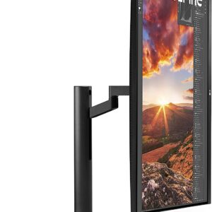 LG Newest 32" Class Ultrafine UHD IPS Monitor with ErgoStand | 4K IPS Display with HDR 10 Compatibility | USB Type-C Connectivity | W/HDMI & USB Type-C Cables (Black)