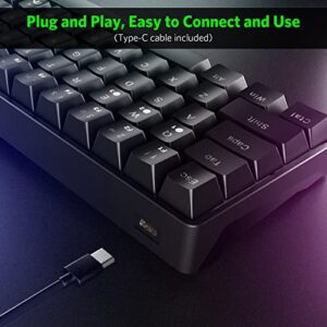 Fiodio 61 Keys RGB Wired Mechanical Gaming Keyboard with Audible Click Sound Blue Switches, Compact Mini Portable Computer Keyboard for Windows Gaming PC,F-DB21