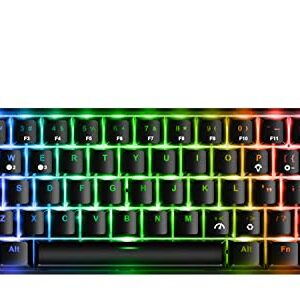 Fiodio 61 Keys RGB Wired Mechanical Gaming Keyboard with Audible Click Sound Blue Switches, Compact Mini Portable Computer Keyboard for Windows Gaming PC,F-DB21