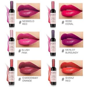 Blue Finger 6 Colors/Set Wine Lipstick, Wine Lip Tint,Matte Long-Lasting Waterproof Lip Gloss Stain, Silky Lightness and Non-Sticky Make Up Lip Sticks Wine Bottle, 0.25 Ounce