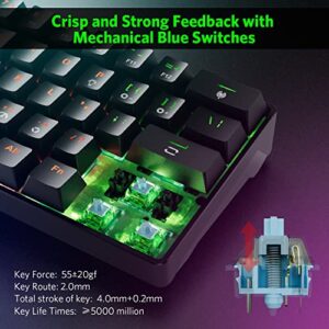 Fiodio 61 Keys RGB Wired Mechanical Gaming Keyboard with Audible Click Sound Blue Switches, Compact Mini Portable Computer Keyboard for Windows Gaming PC,F-DB21