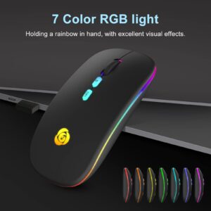 CC Store LED Wireless Bluetooth Mouse &2.4GHz Instant Connection,Rechargeable Ultra Silent Slim,3 Adjustable DPI 2 Connection Modes with USB-C to USB Adapter for Laptop/MacBook/PC/Tablet/iPad (Black)