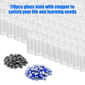 10 ml Clear Glass Vials, 110 Pcs Glass Headspace Vial with Plastic Aluminum Flip Caps and Rubber Stoppers 20mm Transparent Flat Bottom Lab Sample Vial