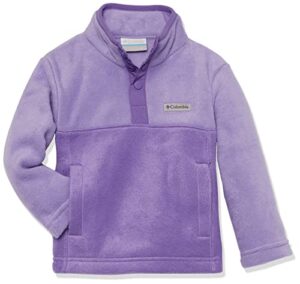 columbia toddler unisex steens mountain 1/4 snap fleece pull-over, grape gum/paisley purple, 2t