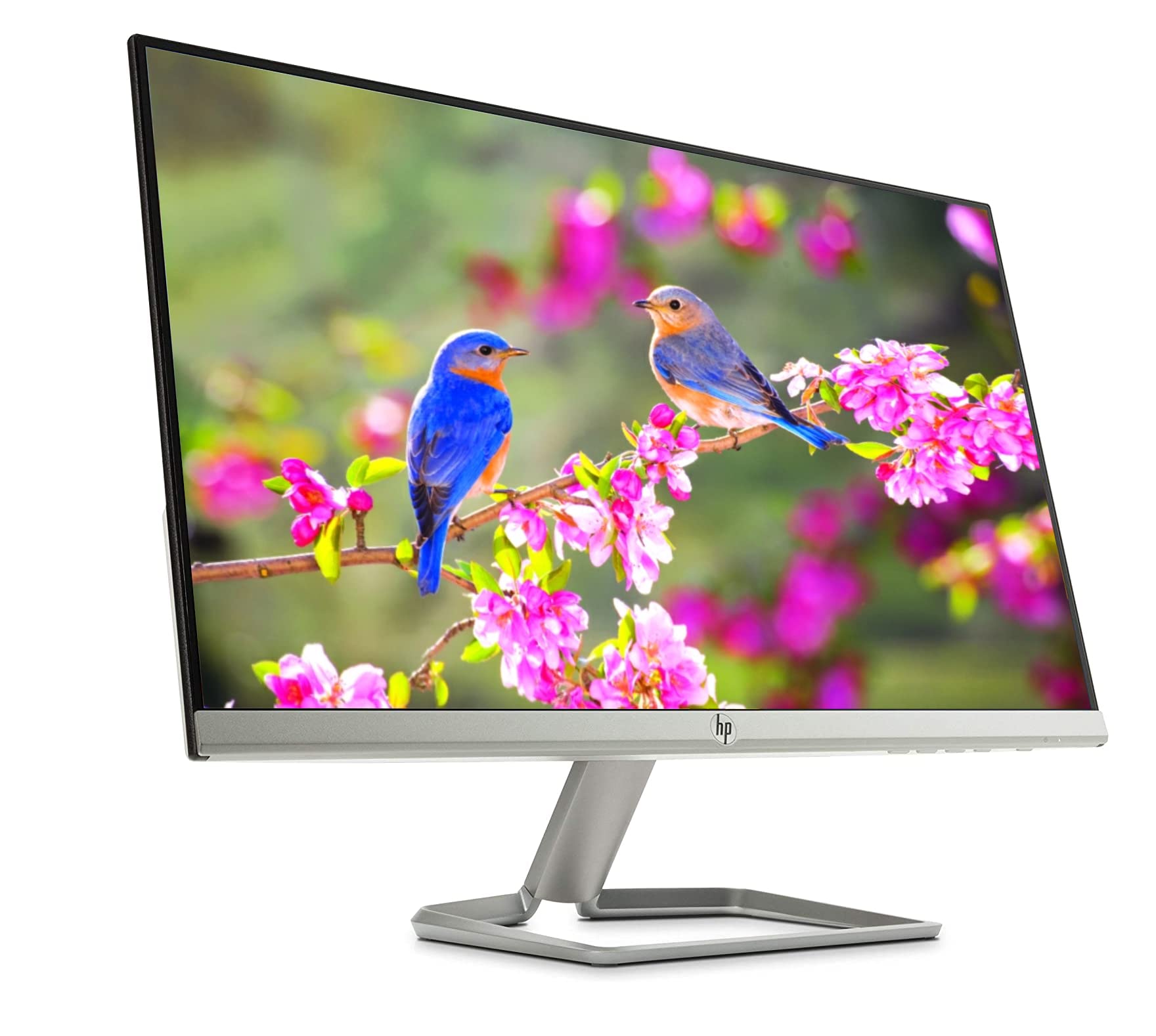 HP 24F LED-Backlit 24 Inch Anti-Glare FHD (1920 x 1080) Monitor, | VGA Port, HDMI | 16.7 Million Colors, Viewing Angles: Horizontal: 178° Vertical: 178°, 5ms Respond Time, Black & Silver (Renewed)