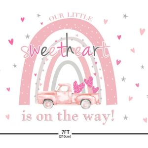 MEHOFOND Valentines Baby Shower Backdrop for Girl Sweetheart Baby Shower Decorations Banner A Little Sweetheart is On The Way Boho Rainbow Photography Background Studio Photo Props Vinyl 7x5ft