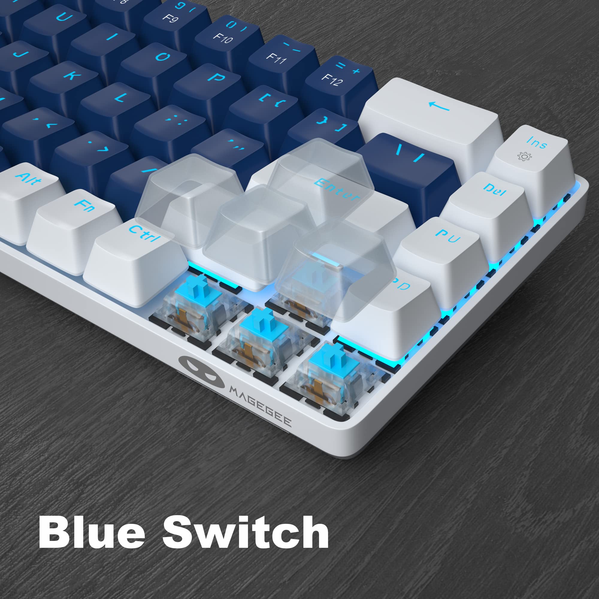 Camiysn 60 Percent Mechanical Keyboard, Compact 68 Keys Anti-ghosting with Blue Switch, Ice Blue Backlit, Detachable Type-C Keyboard for PC Gamer Windows Laptop Mac, White & Blue