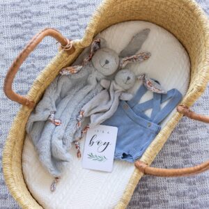 Yuppie Mommy Bonny & Bo Woodlands Bunny Handmade Lovey Security Blanket Gift Set of 2, Baby Boy or Girl — Soft Baby Blankets with Bunny Stuffed Animals with Pacifier Ties Lovies for Newborns or Babies