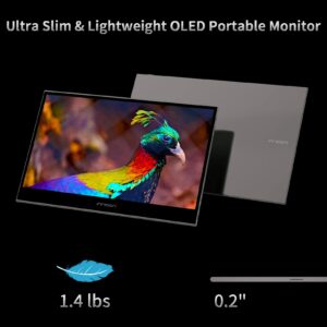 INNOCN Portable Monitor 13.3" OLED Full HD 1080P 100% DCI-P3 1MS 100000:1 USB C Plug Play Computer Monitor Mini HDMI Travel Monitor Photo Video Editing Second Monitor for Laptop MacBook PC Console