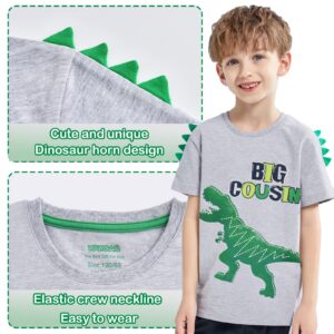 WAWSAM Dinosaur Big Cousin T-Shirt Birthday Boy Shirt for Toddler Boys of The Matching Family Short Sleeve Grey, 4-5T