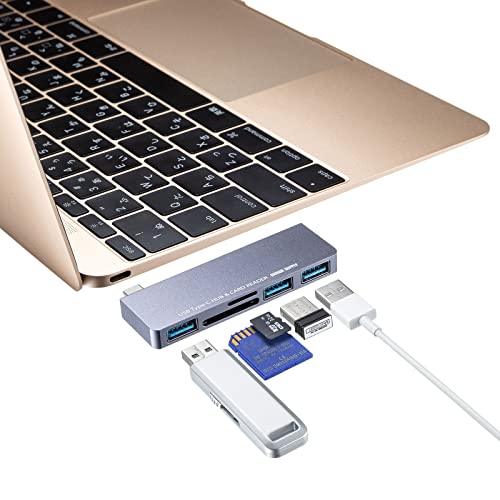 Sanwa Supply USB-3TCHC18GY USB Type-C Hub (with Card Reader)