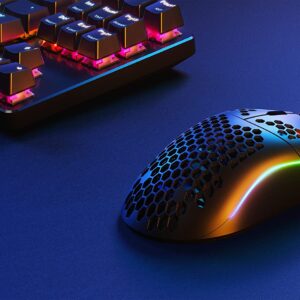 Glorious Mouse (Black)