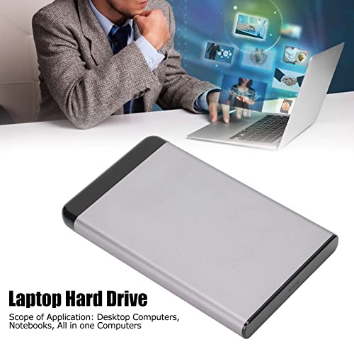 Crazy Sales External Hard Drive, USB 3.0 and USB 2.0 Metal Design External SSD Portable for All in One Computers for Notebooks for Desktop Computers(#1)