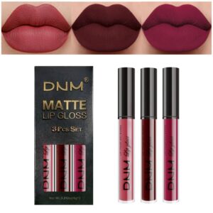 evpct 3pcs dark red purple matte 24-hour liquid lipstick sets,dnm matte lipstick lip stain long lasting 24 smudge waterproof lip gloss gift set matt lipsticks set matt liquid women makeup lipstick 06