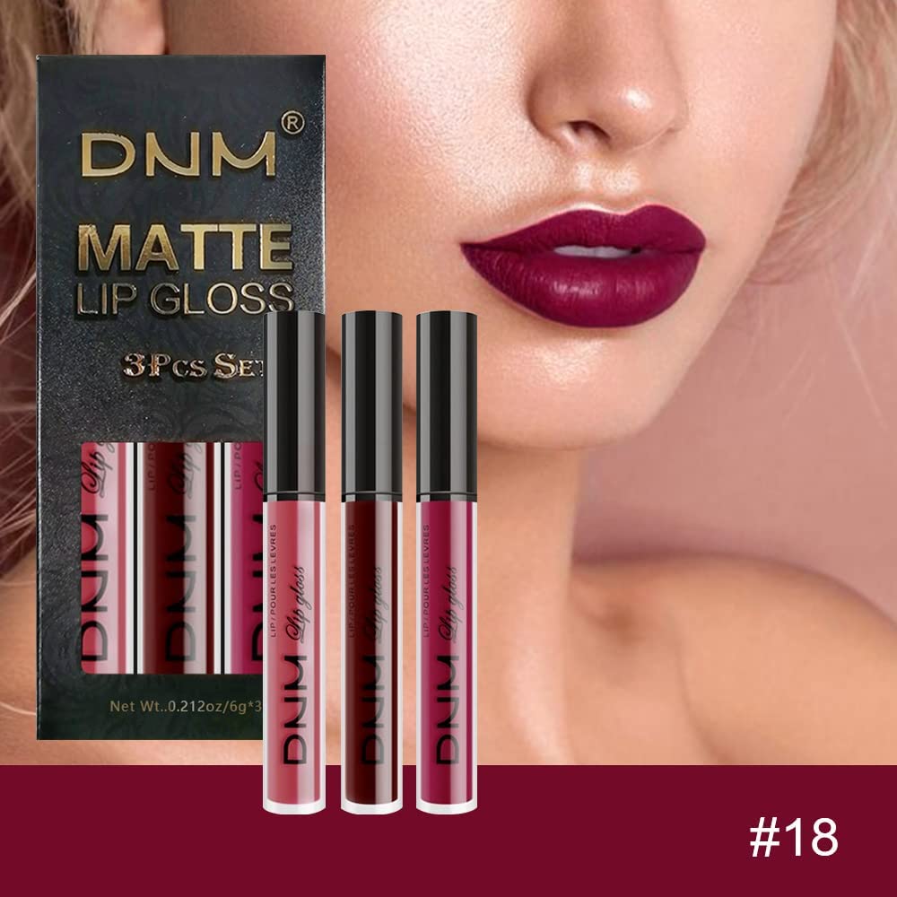 evpct 3Pcs Dark Red Purple Matte 24-hour Liquid Lipstick Sets,DNM Matte Lipstick Lip Stain Long Lasting 24 Smudge Waterproof Lip Gloss Gift Set Matt Lipsticks Set Matt Liquid Women Makeup Lipstick 06