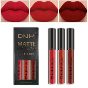 amy's diary 3pcs dark red matte 24 hour liquid lipstick sets,matte lip stain long lasting 24 smudge waterproof lip gloss gift makeup set lipstick for women lippies (06)